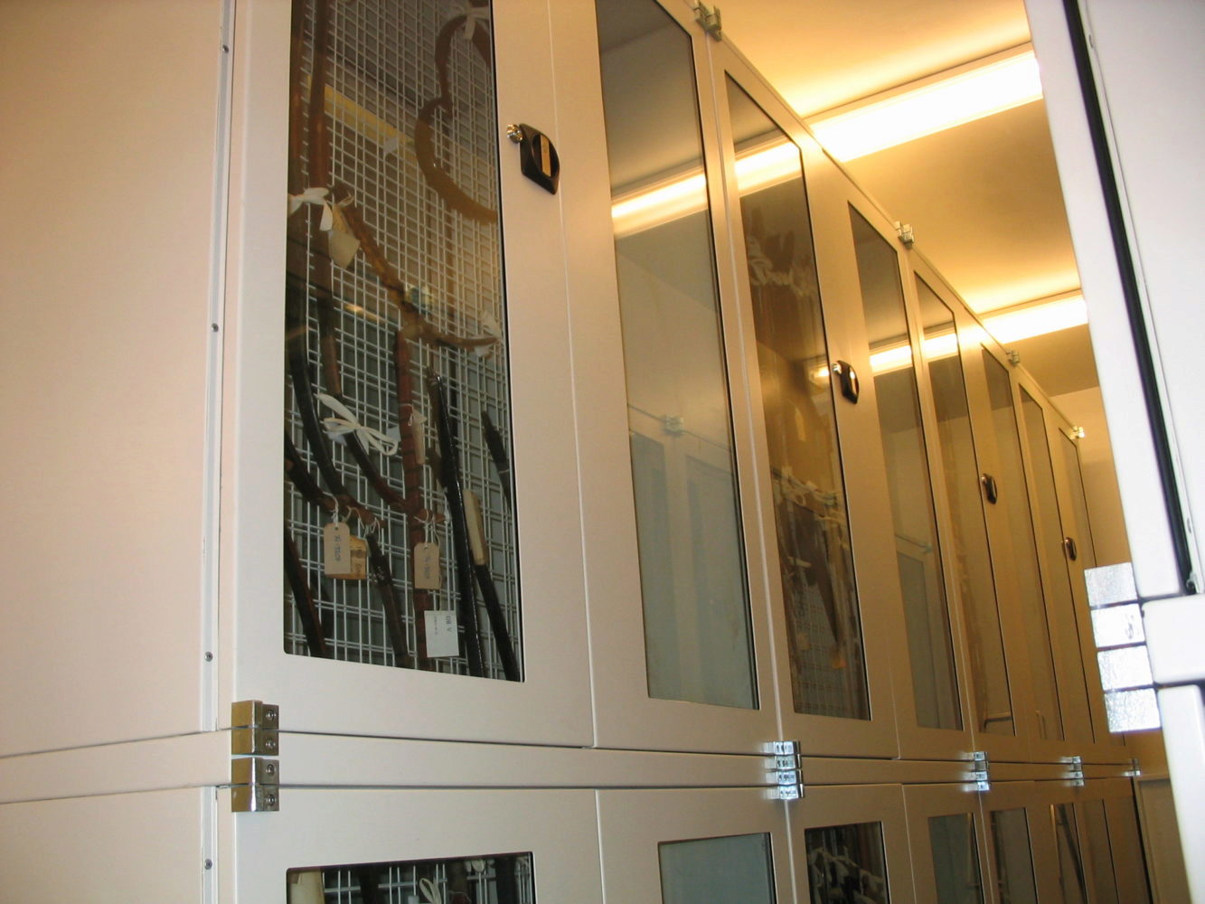 Museum Shelving & Storage Solutions: Invicta